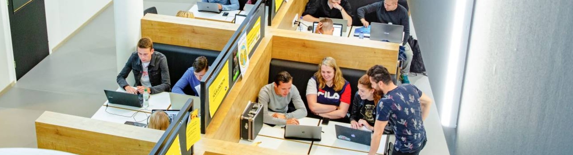 Types of Degrees at HAN