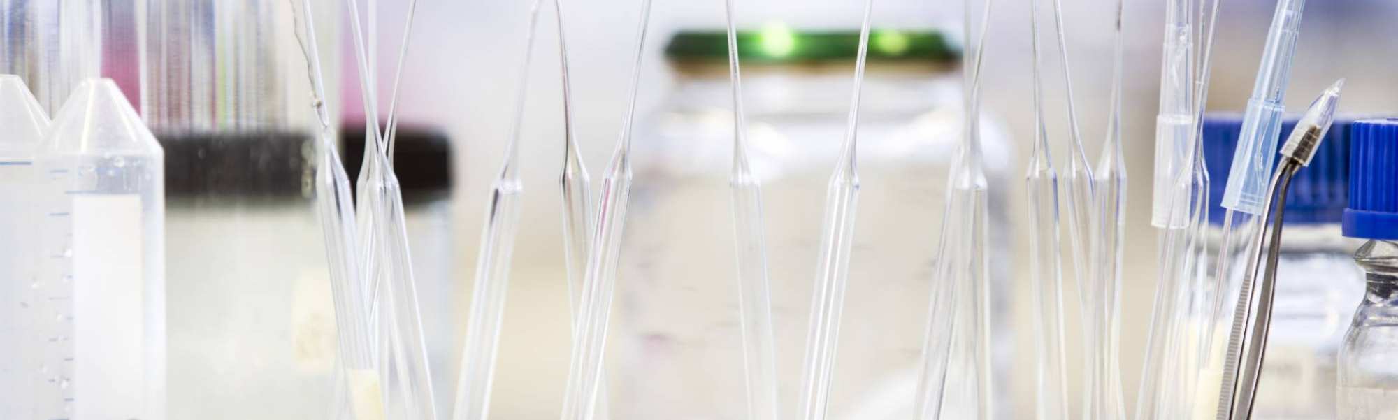 Chemistry Bachelor Degree | HAN University of Applied Sciences